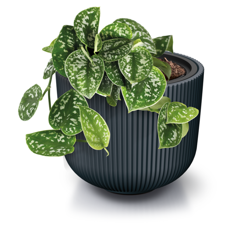 Milly flowerpot - Prosperplast