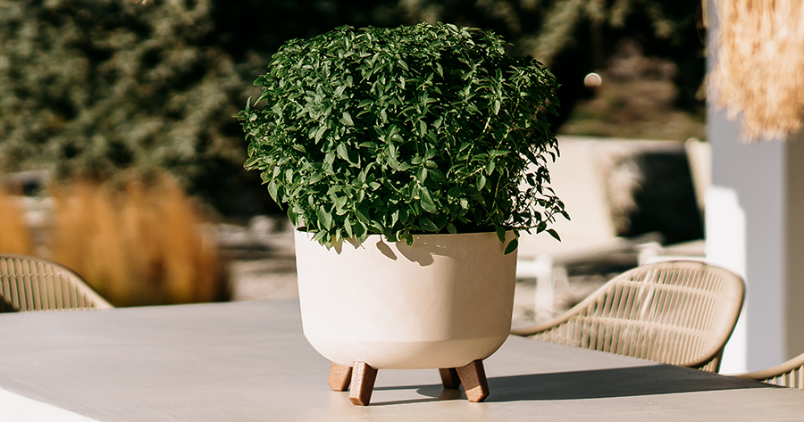 Gardenia 2023 - Prosperplast